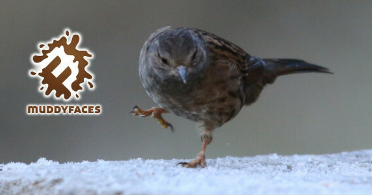 Embracing winter with Muddy Faces | Muddy Faces