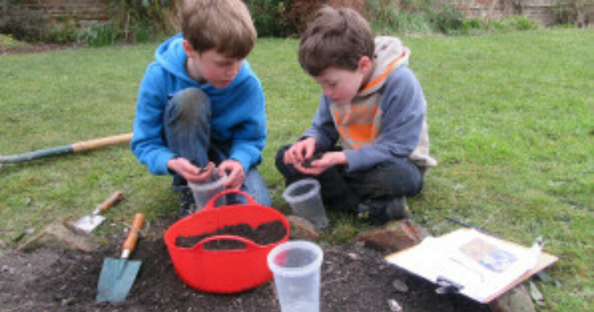 Earthworm Survey - Activities | Muddy Faces