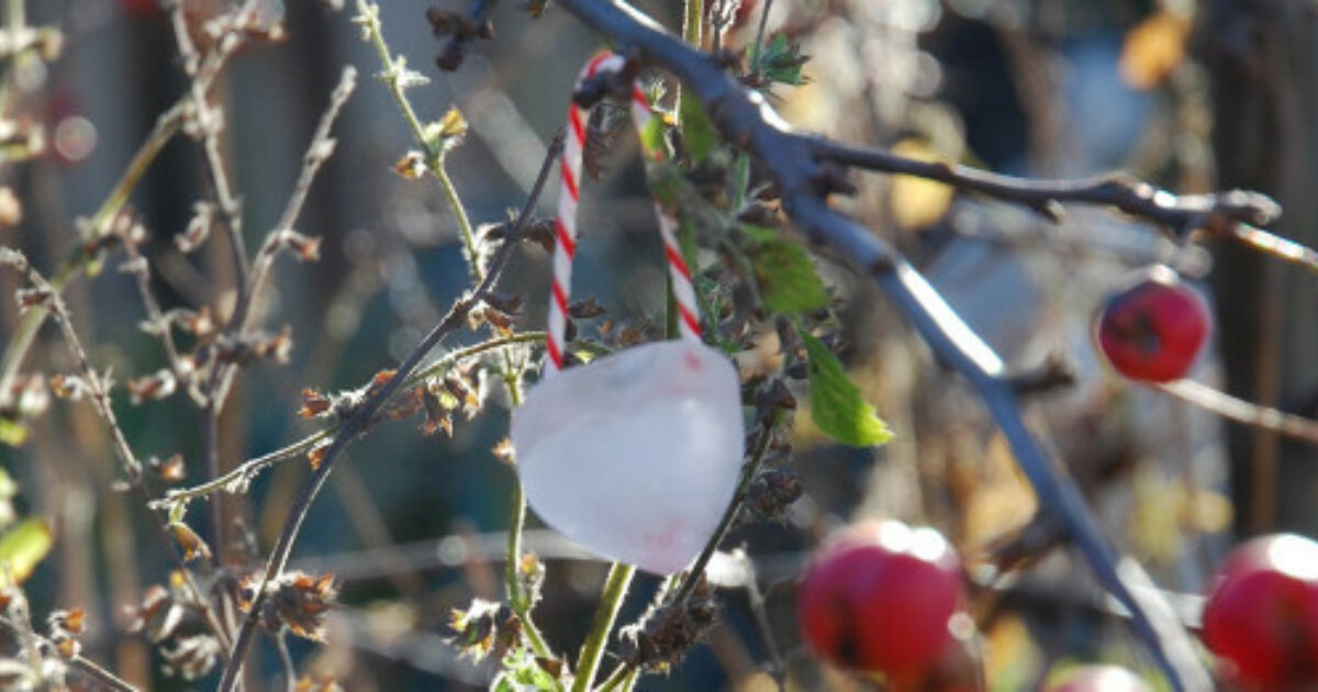 Hanging ice decorations - Activities | Muddy Faces