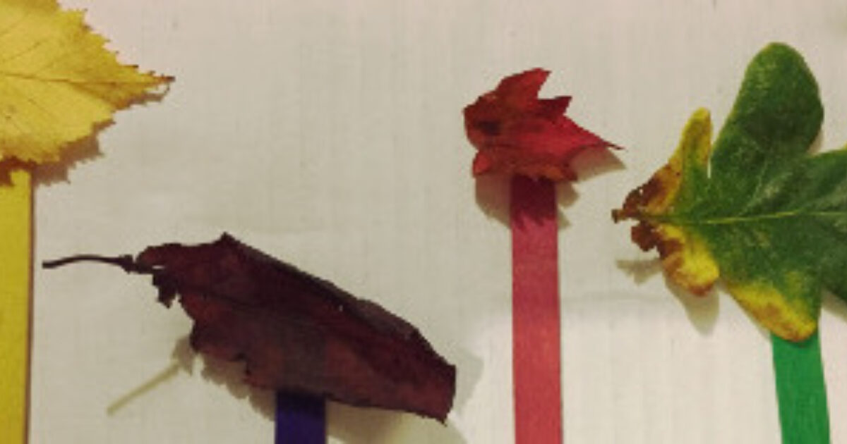 Leaf colour matching - Activities | Muddy Faces