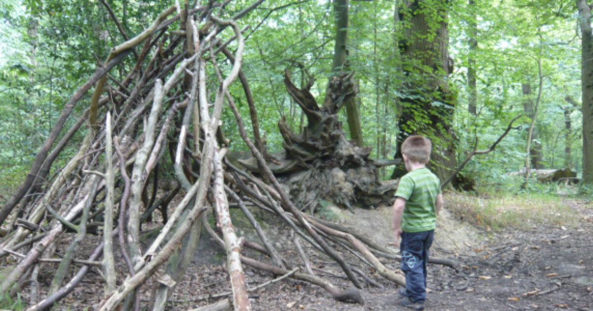INSPIRATIONS - dens with branches - Activities | Muddy Faces