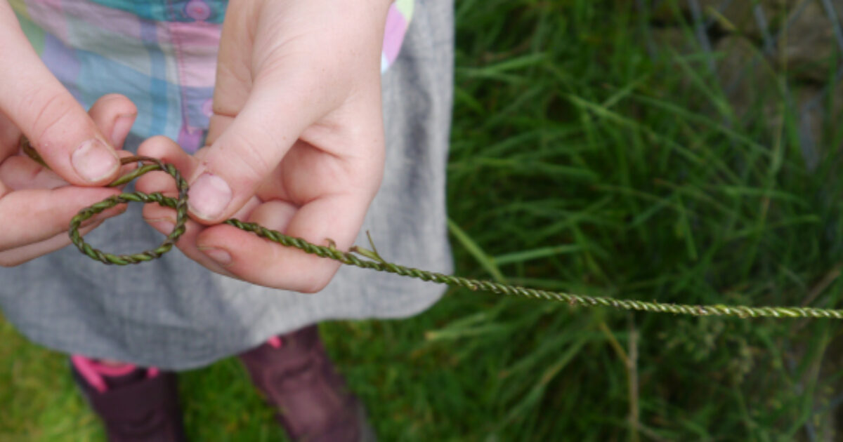 Nettle cordage - Activities | Muddy Faces