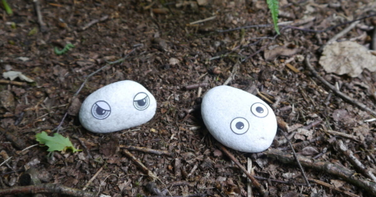 Pebble creatures - Activities | Muddy Faces