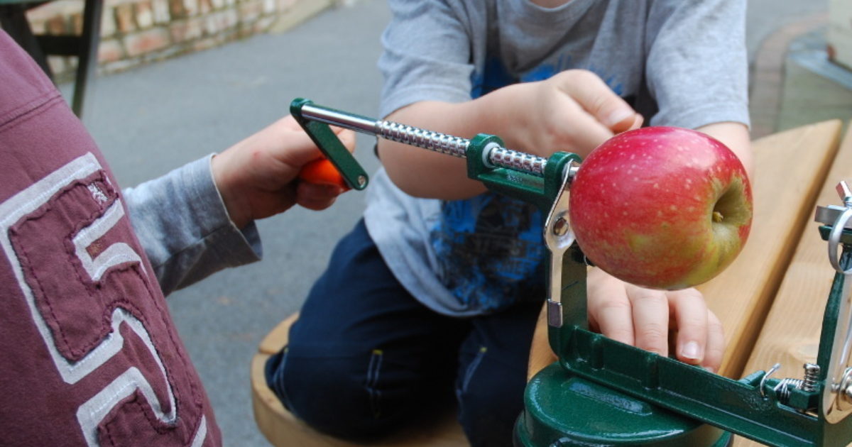 Apple peeling gadget store