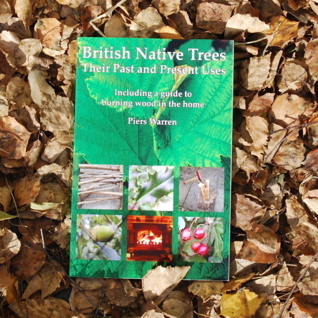 British Native Trees - Their Past and Present Uses | Muddy Faces