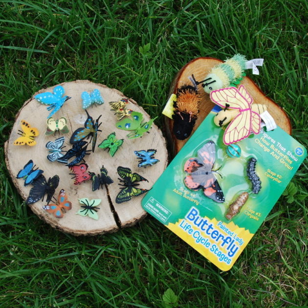 Discover Butterflies Set | Muddy Faces