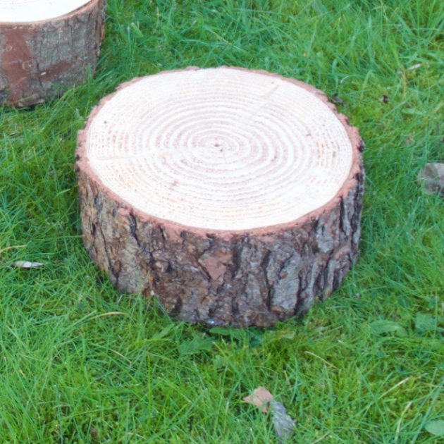 Log Round / Tinker Block | Muddy Faces