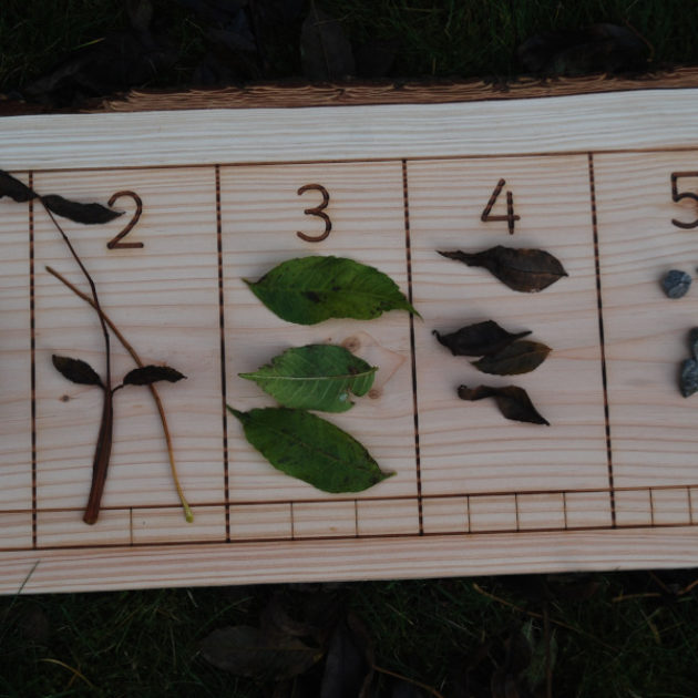 Maths Planks | Muddy Faces