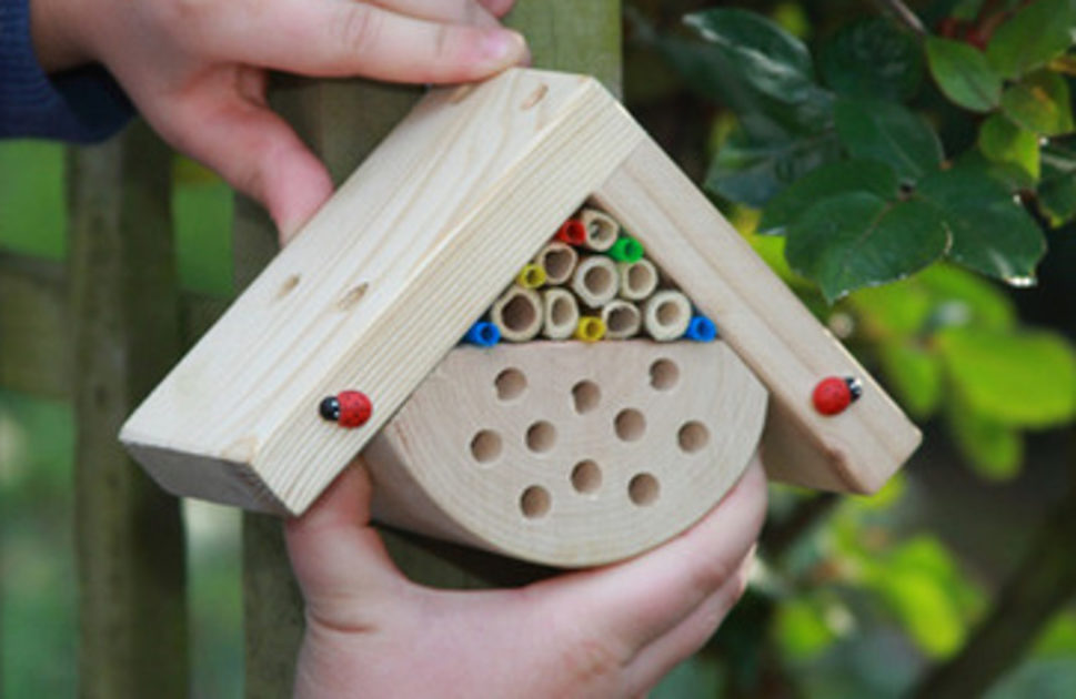 Mini Bug Box | Muddy Faces