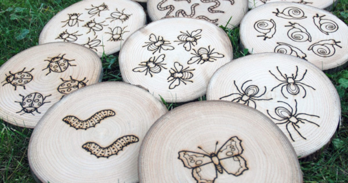 National Insect Week ﻿ | Muddy Faces