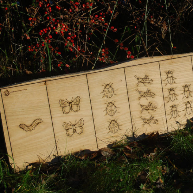 Minibeasts Counting Plank 1-10 | Muddy Faces