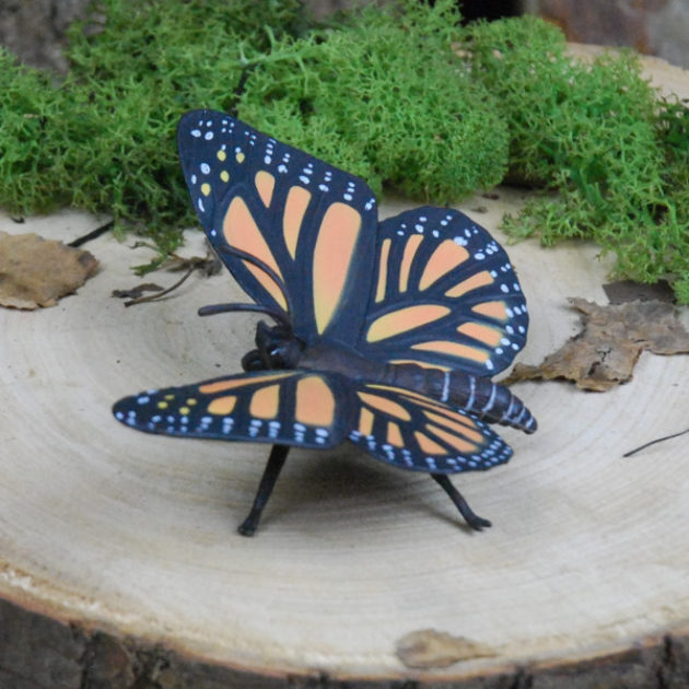 Monarch Butterfly | Muddy Faces