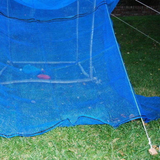 Blue Netting | Muddy Faces