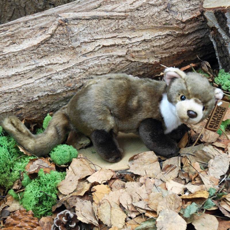 pine marten teddy