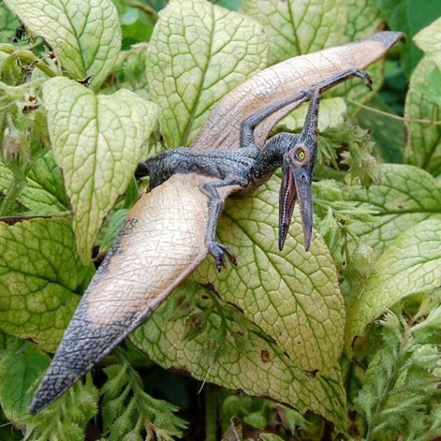 Pteranodon | Muddy Faces