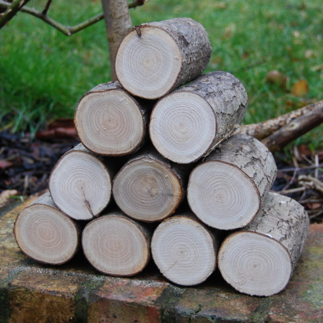 Pyramid of Logs | Muddy Faces