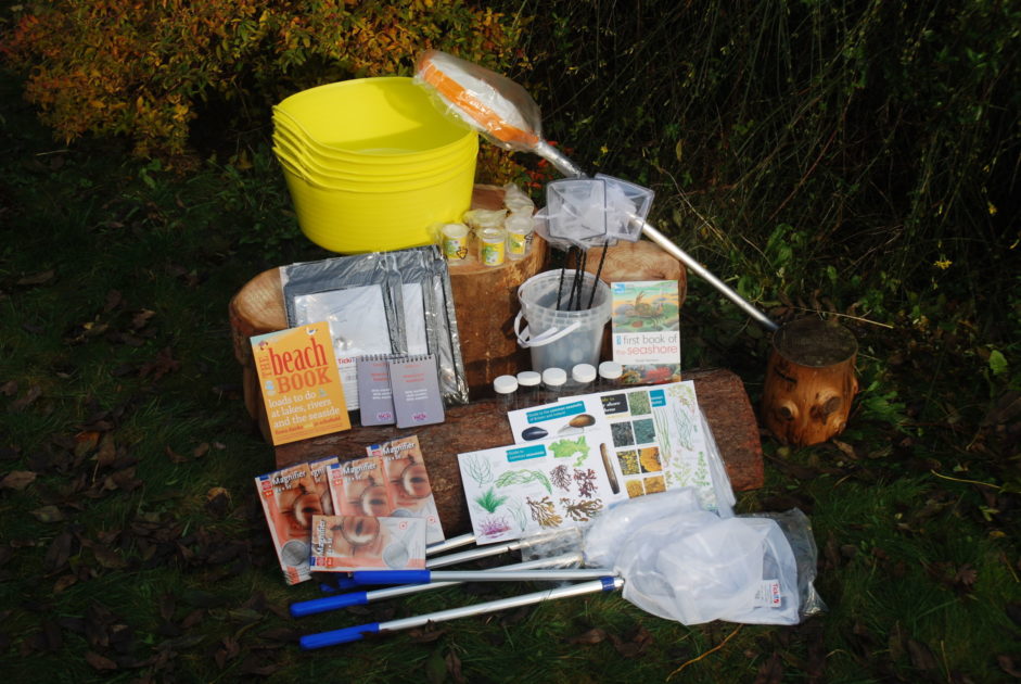 Rock Pool Explorer Kit - Class Sized | Muddy Faces