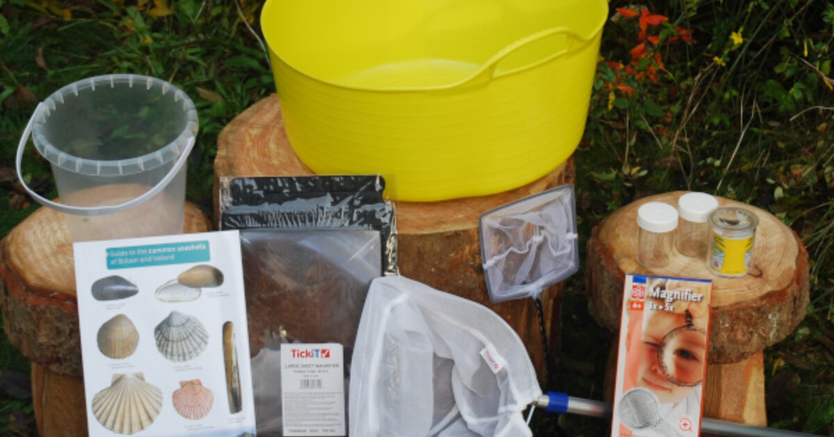 rock pooling kit