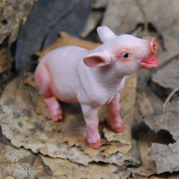 Sitting Piglet | Muddy Faces