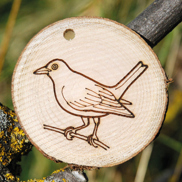 Trail Disc - Bird - Blackbird | Muddy Faces