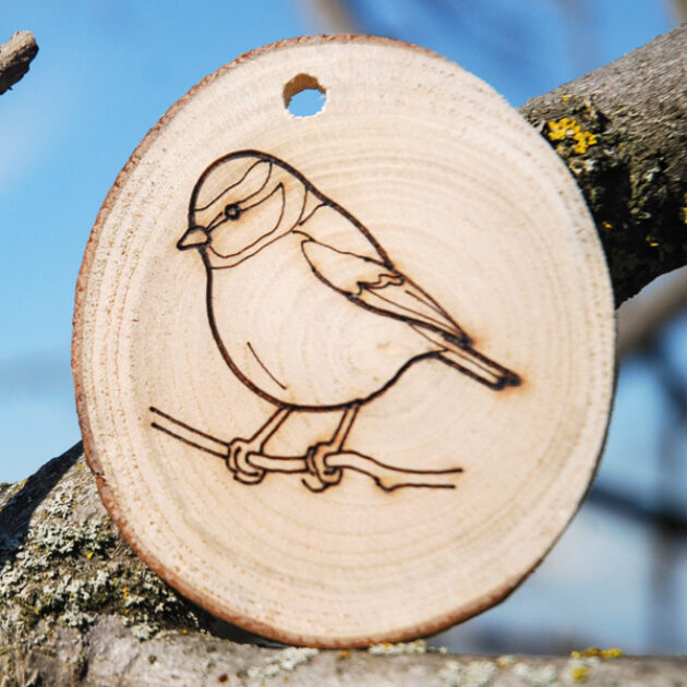 Trail Disc - Bird - Blue Tit | Muddy Faces