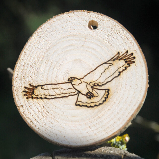 Trail Disc - Bird - Buzzard | Muddy Faces