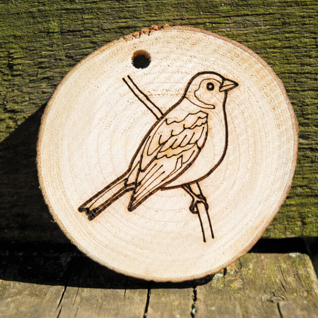 Trail Disc - Bird - Chaffinch | Muddy Faces