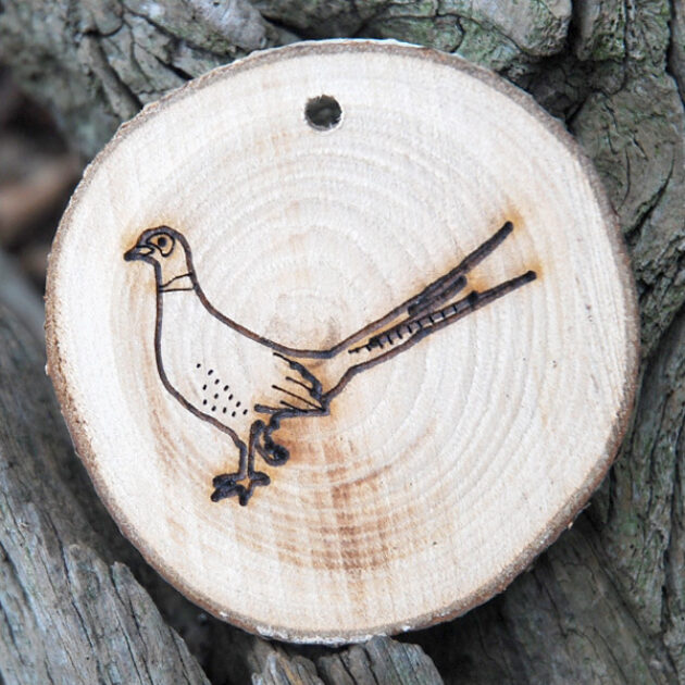 Trail Disc - Bird - Pheasant | Muddy Faces