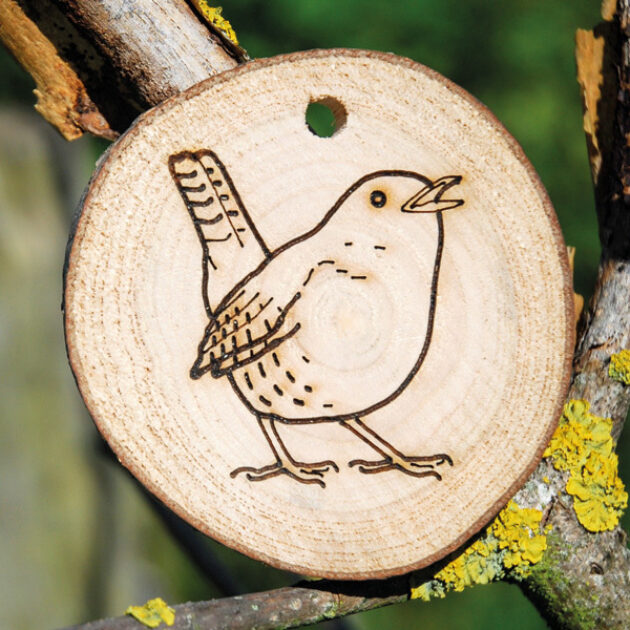 Trail Disc - Bird - Wren | Muddy Faces