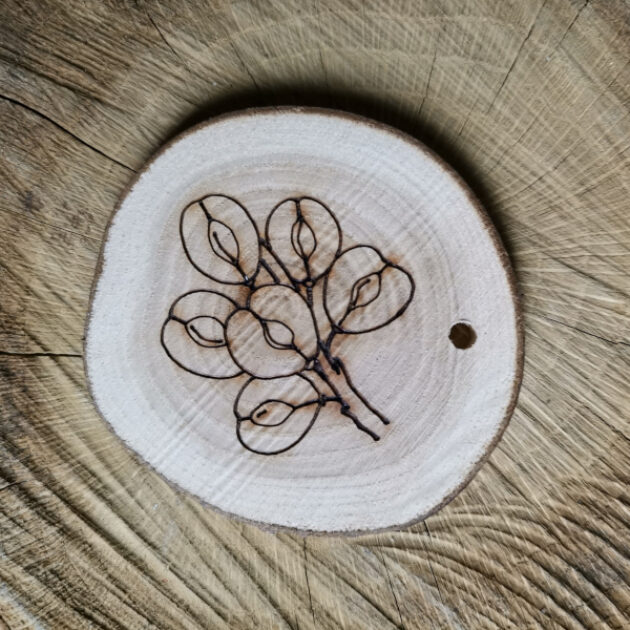 Trail Disc - Fruit - Elm | Muddy Faces