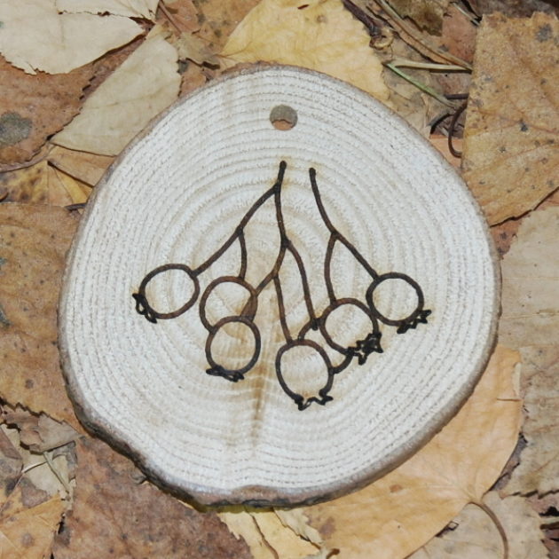 Trail Disc - Fruit - Hawthorn | Muddy Faces