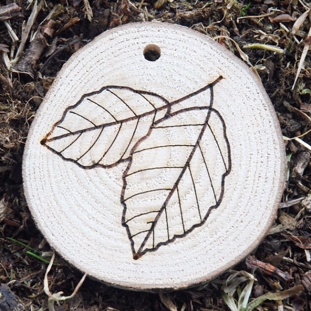 Trail Disc - Leaf - Beech | Muddy Faces