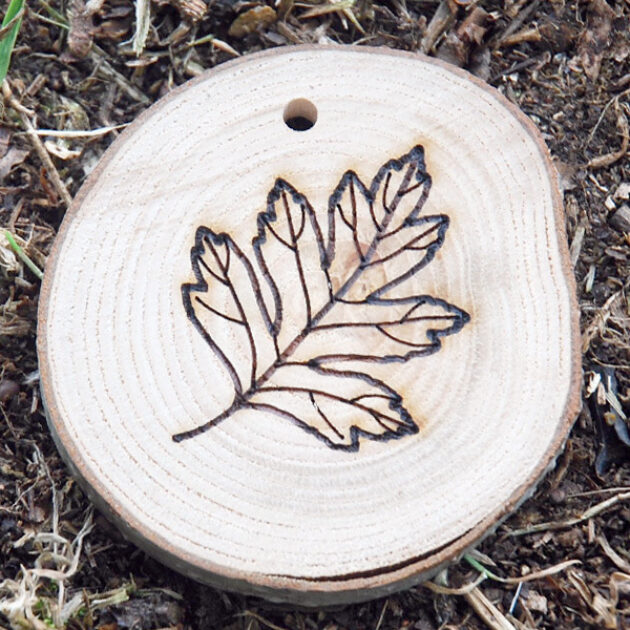 Trail Disc - Leaf - Hawthorn | Muddy Faces