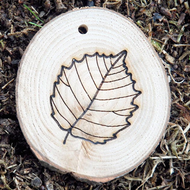 Trail Disc - Leaf - Hazel | Muddy Faces