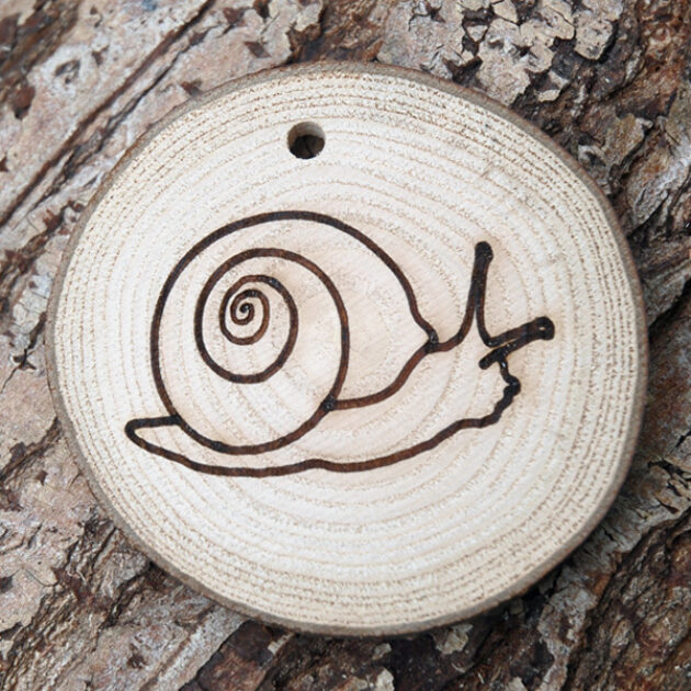 Trail Disc - Minibeasts - Snail | Muddy Faces