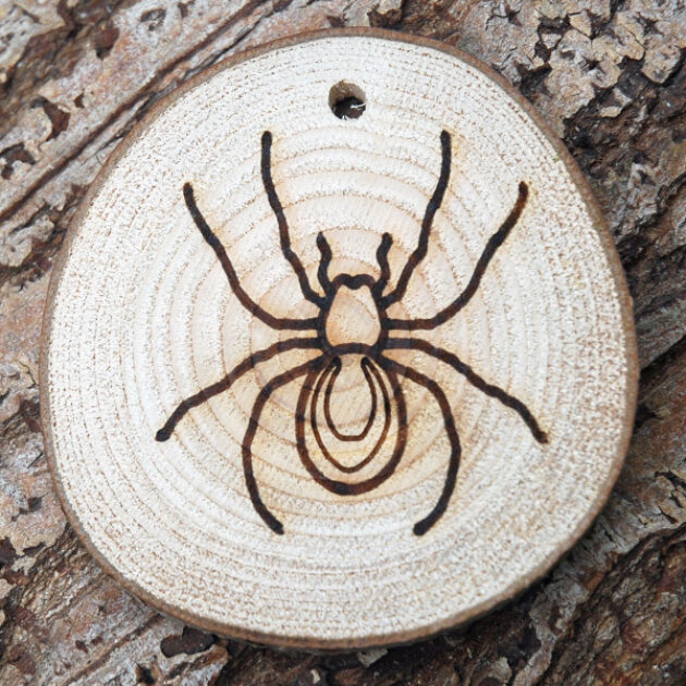 Trail Disc - Minibeasts - Spider | Muddy Faces