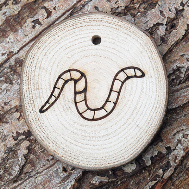 Trail Disc - Minibeasts - Worm | Muddy Faces