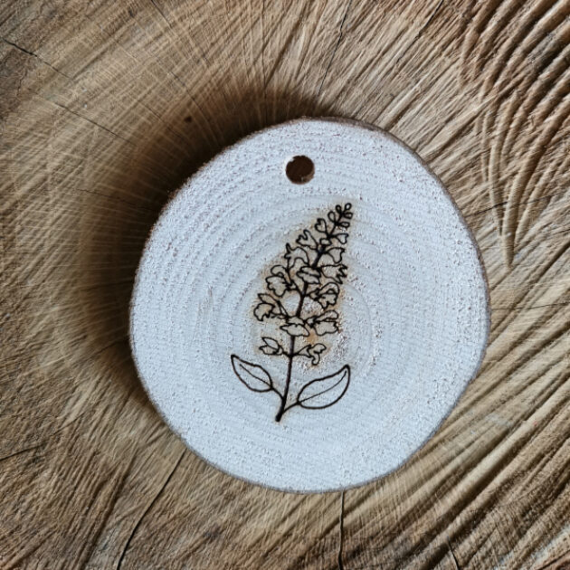 Trail Disc - Sage | Muddy Faces