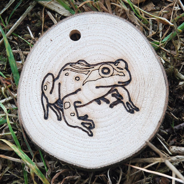 Trail Disc - Wildlife - Frog | Muddy Faces