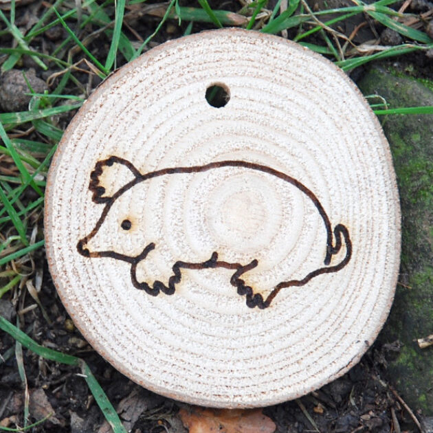 Trail Disc - Wildlife - Mole | Muddy Faces