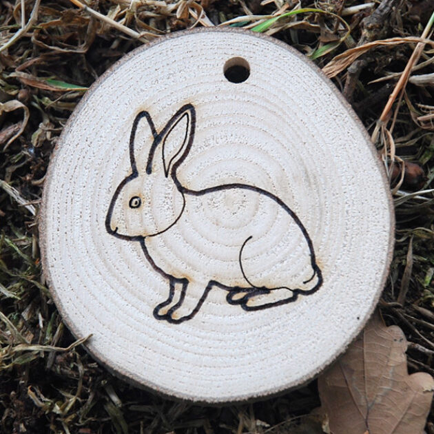 Trail Disc - Wildlife - Rabbit | Muddy Faces