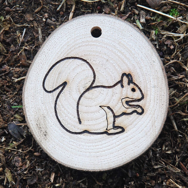 Trail Disc - Wildlife - Squirrel | Muddy Faces