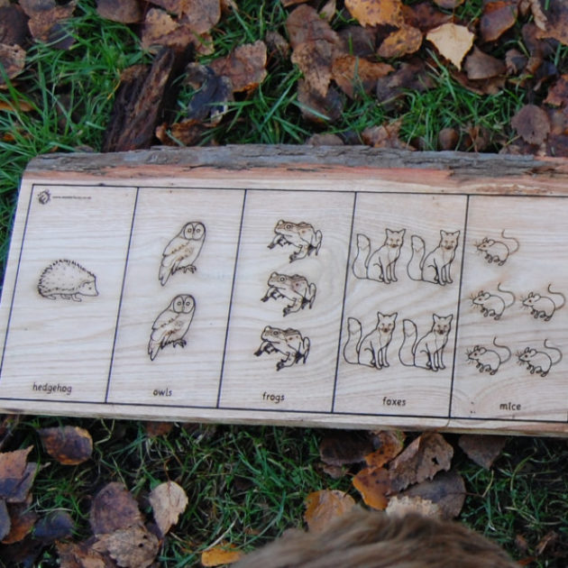 Woodland Animals Counting Plank 1-10 | Muddy Faces