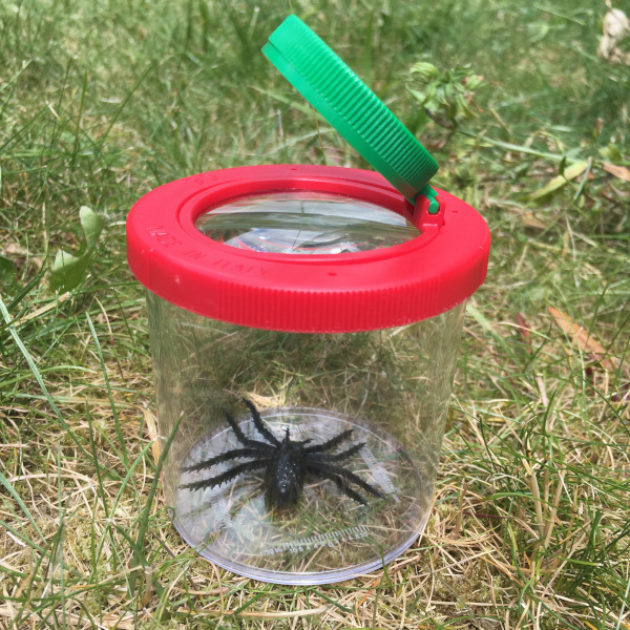 World's Best Bug Viewer | Muddy Faces