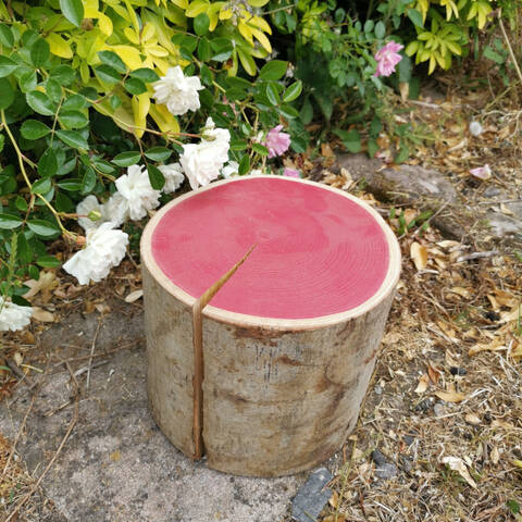 Log Seats | Muddy Faces