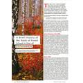 Forest School history | Forest School | Muddy Faces