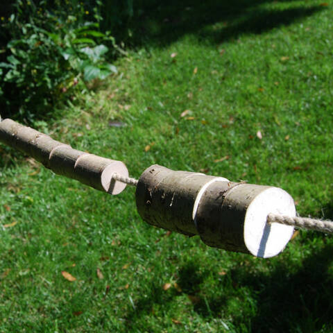 Counting & Sorting | Muddy Faces